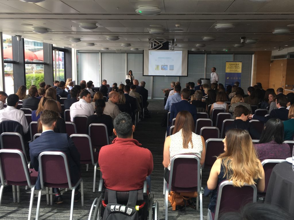 Event Blog - Climate Risk & The Capital Domino Effect - Carbon Tracker ...