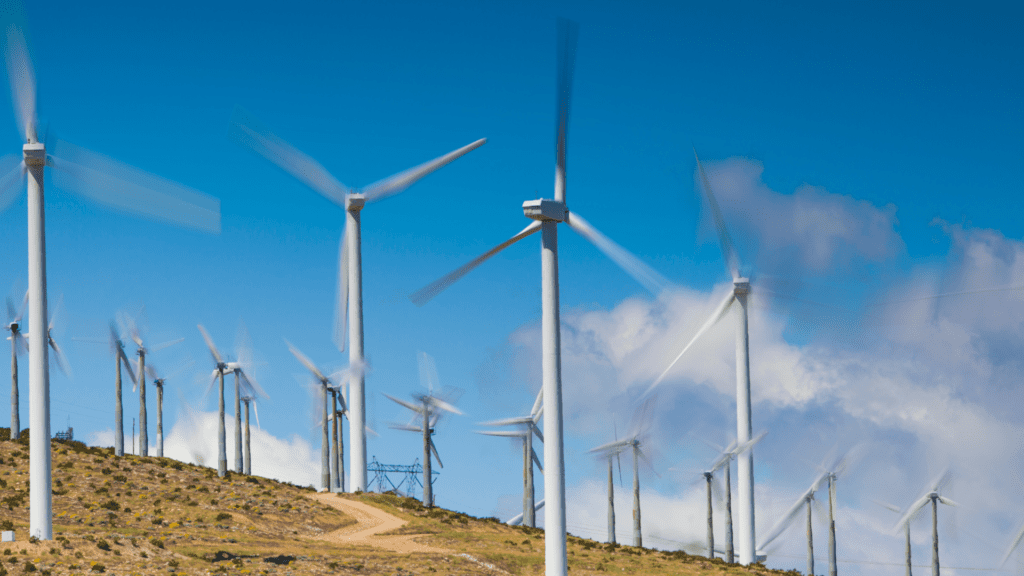 Energy 2050 Summit - Carbon Tracker Initiative