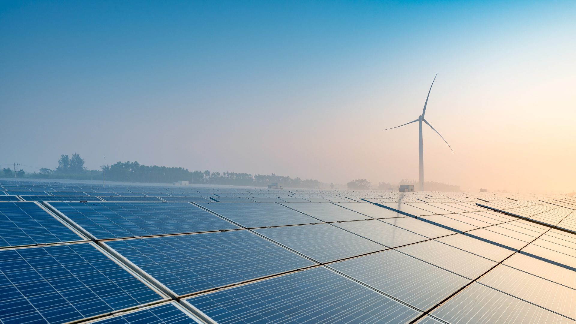 5 - Carbon Tracker Initiative