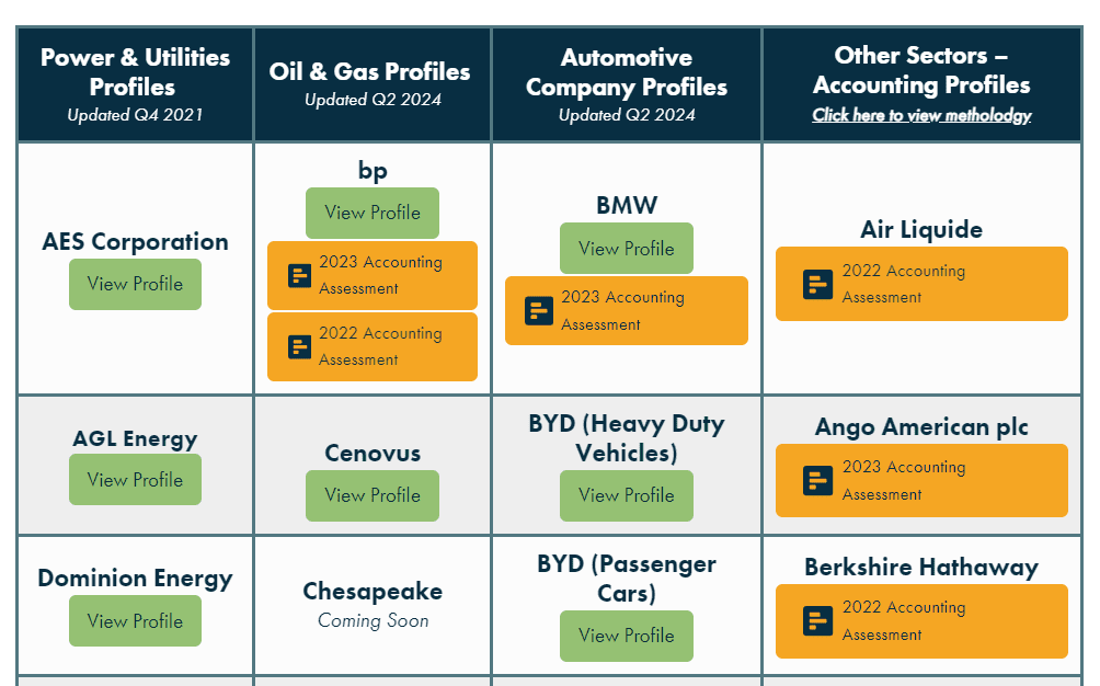 Screenshot 2024-05-21 155022 - Carbon Tracker Initiative