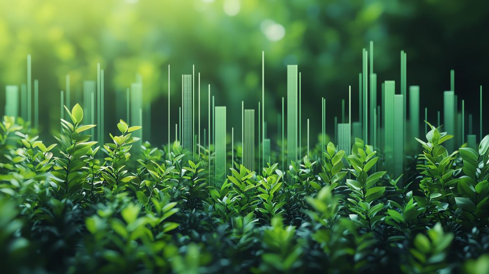 COP 29: Delivering on Volume and Impact for Climate Finance and ...