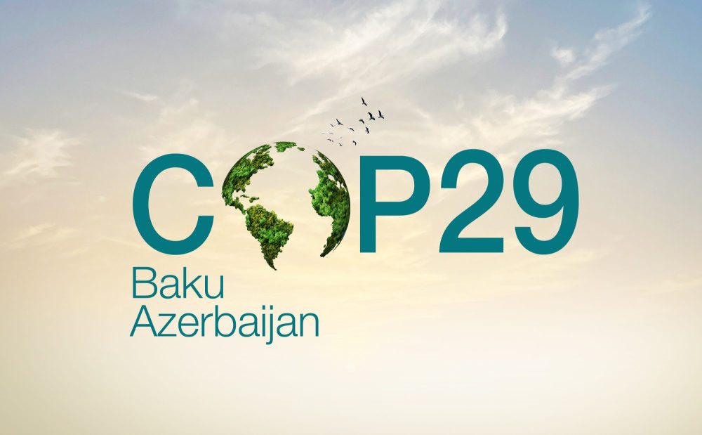 COP 29: World Climate Summit 2024 - Carbon Tracker Initiative